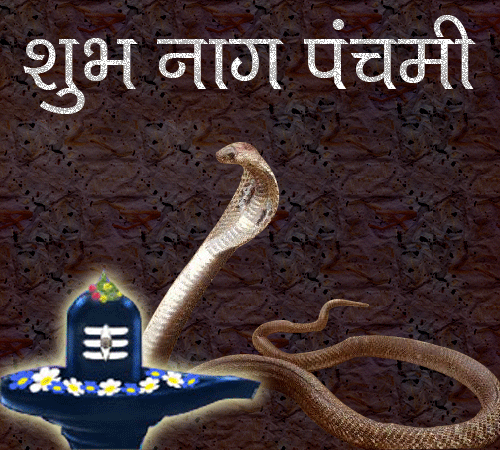 Happy Nag Panchami 2023 Animated Greetings Images Pictures GIF ...