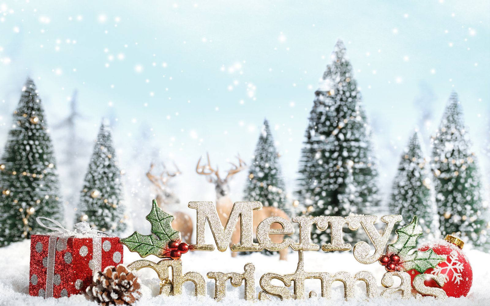 {100+}* Merry Christmas Images {2023}* : Merry Xmas Pictures & Photos ...
