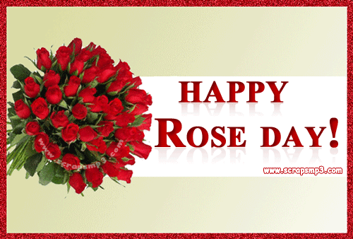 Happy Rose Day Gif Hd Images - Infoupdate.org