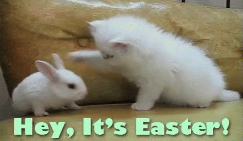 Happy Easter GIF, Animated & 3D Pics for Whatsapp & Facebook 2023 ...